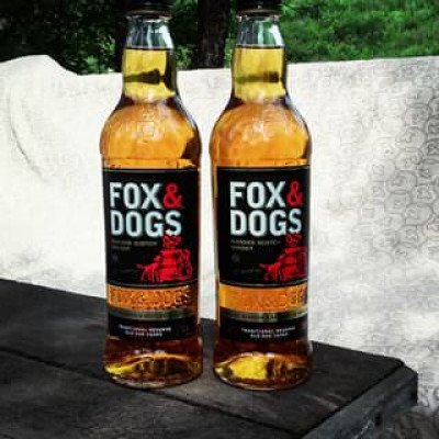 Виски Fox & Dogs (Лиса и Собака): описание и история марки