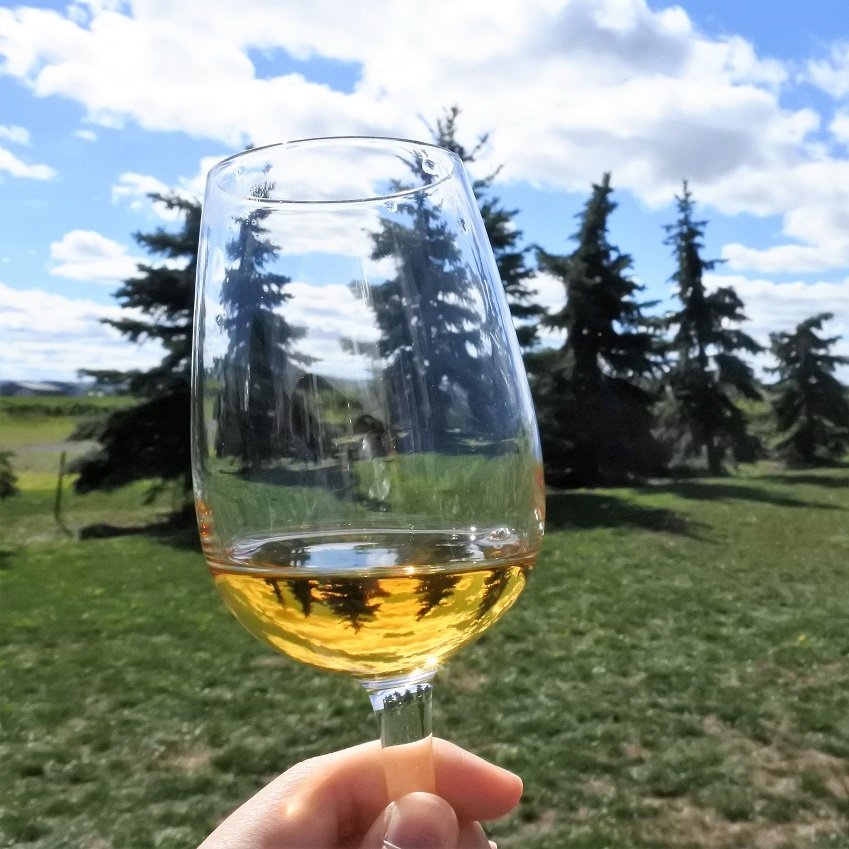 Ледяное вино (Ice wine, Eiswein): как пить и чем закусывать